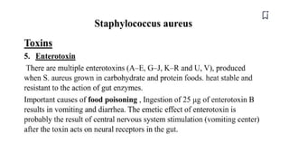 DPT - Microbiology II (Gram +ve cocci) - Genus Staphylococcus | PPT