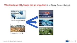 Different approaches to estimating land GHG emissions: a crash course ...