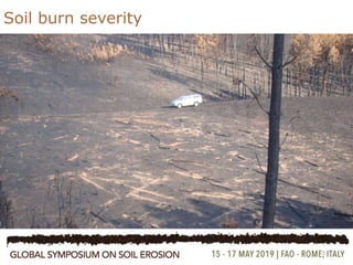 Modelling post-fire soil erosion in recently burned areas | PPT