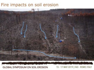 Modelling post-fire soil erosion in recently burned areas | PPT