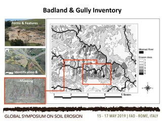 Badland and gully erosion assessment using remotely sensed data, non ...