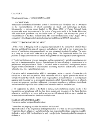 1 guidelines for_concurrent_auditors | PDF
