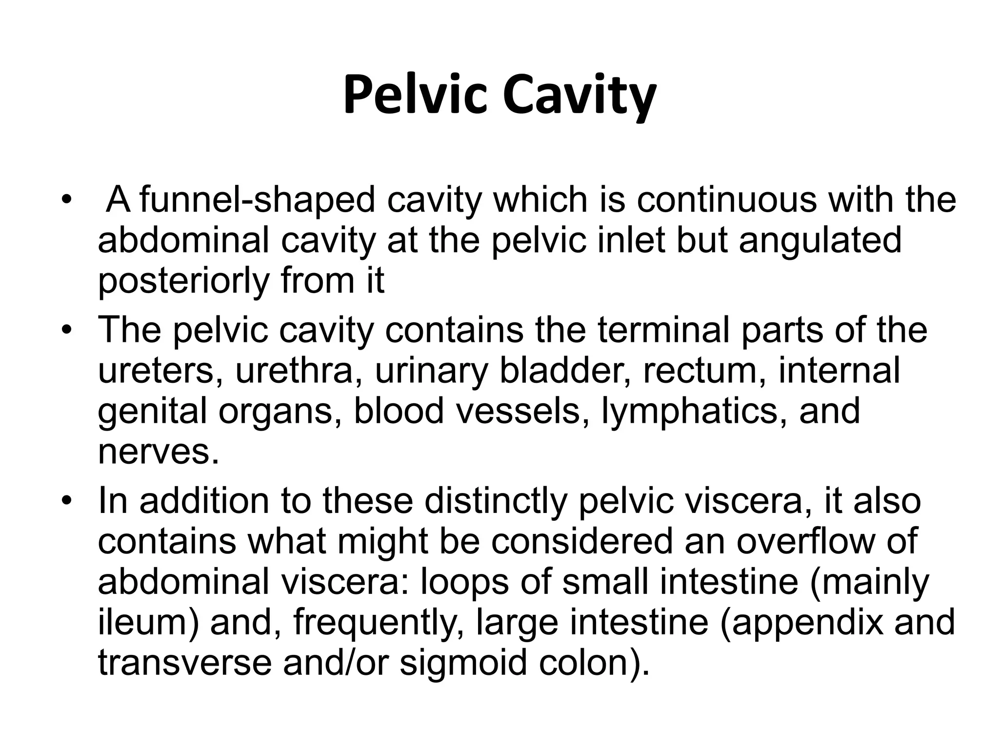 1 gy gross anatomy for anesthesia | PPTX