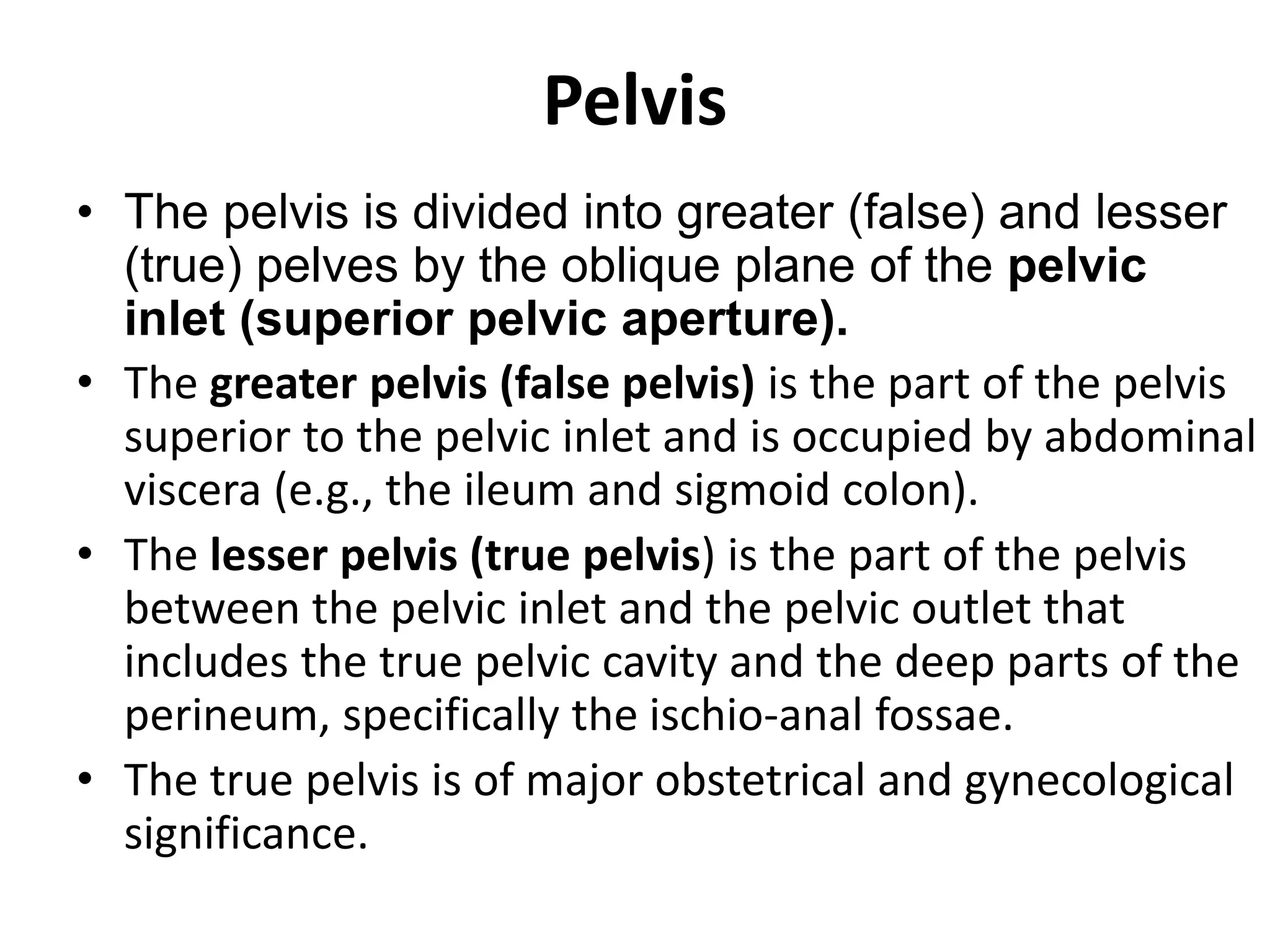 1 gy gross anatomy for anesthesia | PPTX
