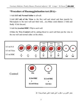 Haemagglutination test poultry | PDF