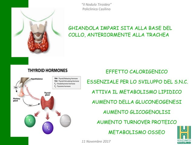 Diagnostica di laboratorio del Nodulo Tirodeo | PPT