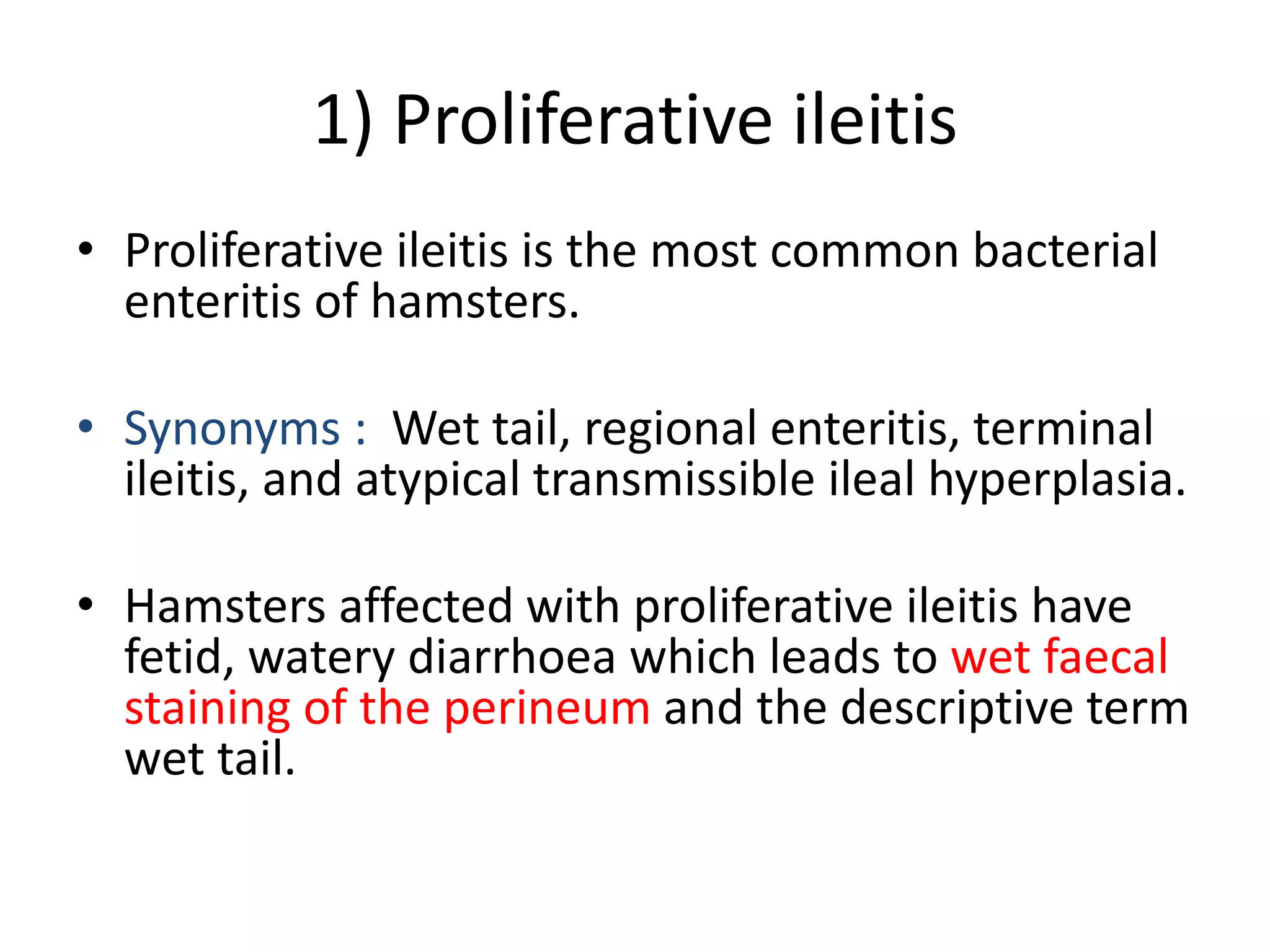 Hamster - Bacterial, Viral, Mycotic, Parasitic and Non infectious ...
