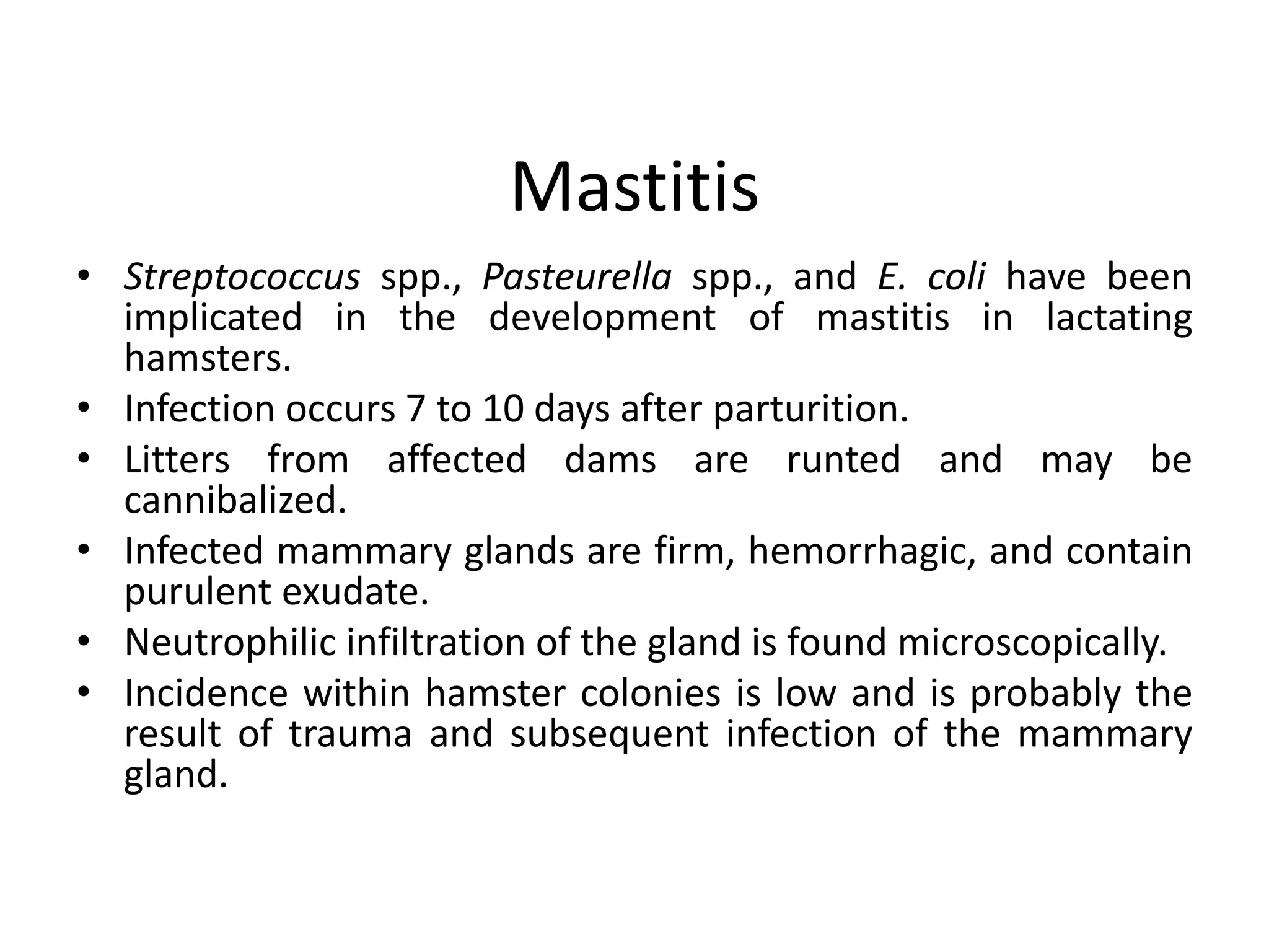 Hamster - Bacterial, Viral, Mycotic, Parasitic and Non infectious ...