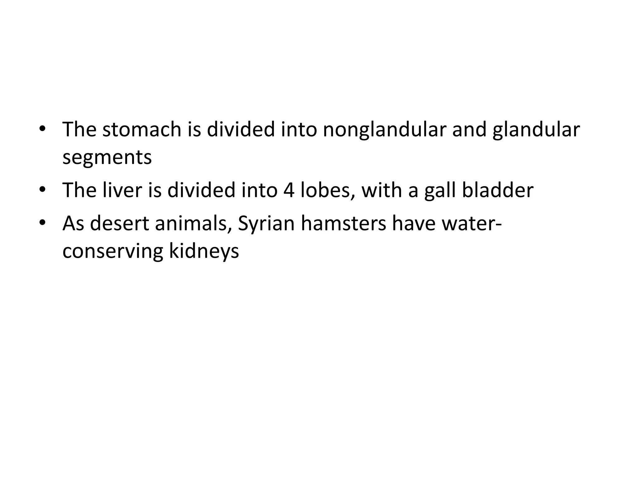 Hamster - Bacterial, Viral, Mycotic, Parasitic and Non infectious ...