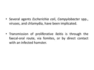 Hamster - Bacterial, Viral, Mycotic, Parasitic and Non infectious ...