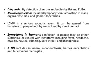Hamster - Bacterial, Viral, Mycotic, Parasitic and Non infectious ...