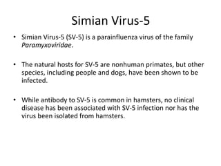 Hamster - Bacterial, Viral, Mycotic, Parasitic and Non infectious ...