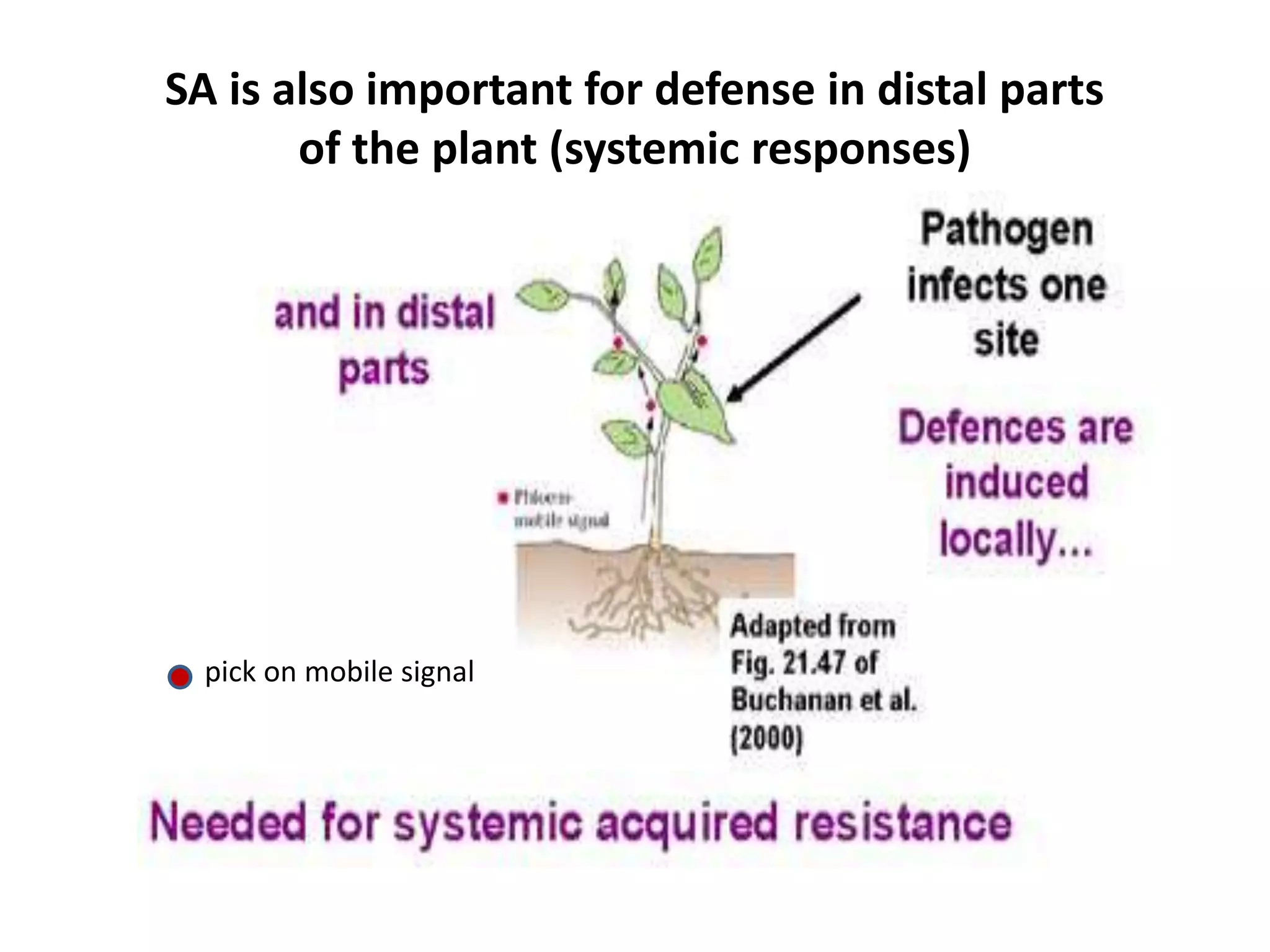 ENT-608 - Host Plant Resistance (HPR) Topic: Signal Transduction ...