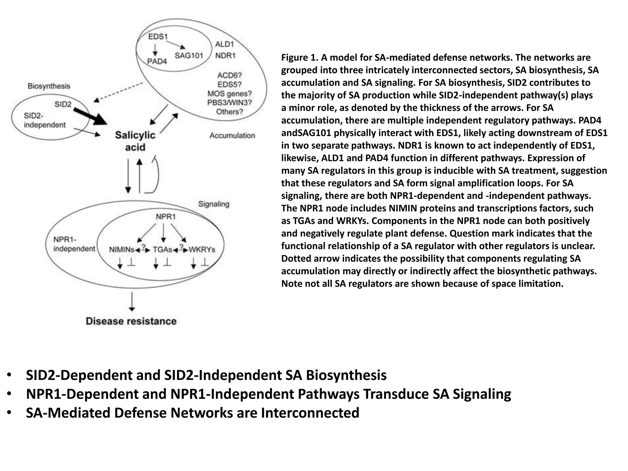 ENT-608 - Host Plant Resistance (HPR) Topic: Signal Transduction ...