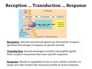ENT-608 - Host Plant Resistance (HPR) Topic: Signal Transduction ...