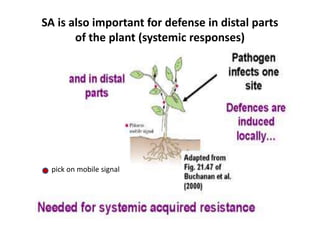 ENT-608 - Host Plant Resistance (HPR) Topic: Signal Transduction ...