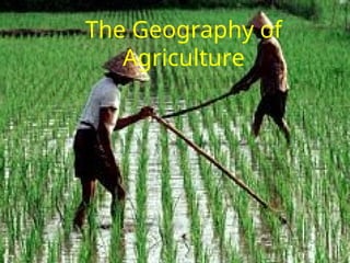 Agricultural_Revolutions.ppt AP HUMAN GEOGRAPHY | PPT