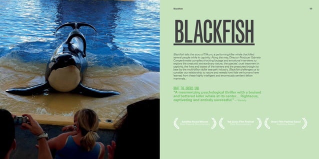 Blackfish Impact Report | PPT