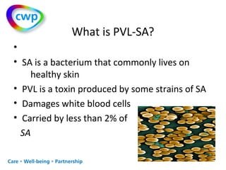 Panton Valentine Leukocidin Staphylococcus aureus (PVL-SA) | ODP