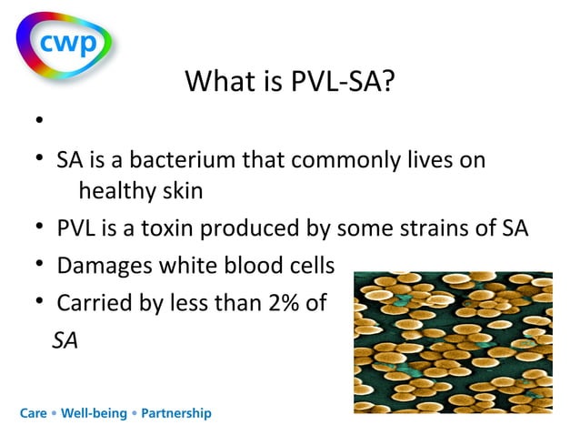 Panton Valentine Leukocidin Staphylococcus aureus (PVL-SA) | ODP