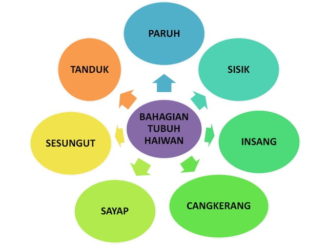 Bahagian tubuh haiwan | PPT