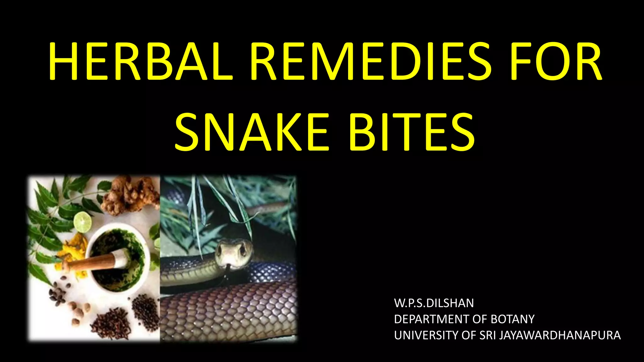 Herbal remedeis for snake bites | PPTX