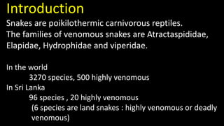Herbal remedeis for snake bites | PPT