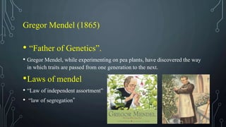 History of genetics | PPTX