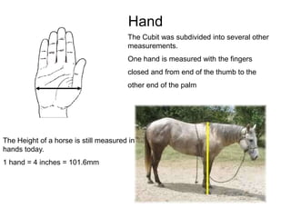 1History of Measurements.ppt
