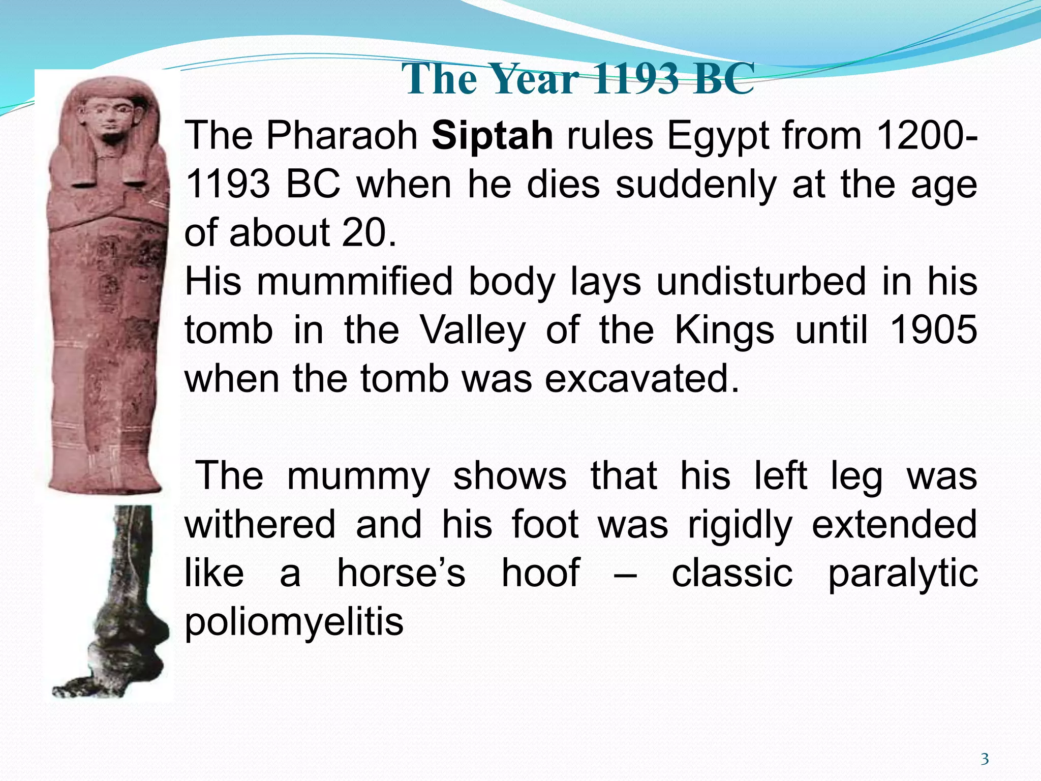 Virology, History, classification, Nomenclature_Baltimore_ICTV | PPTX