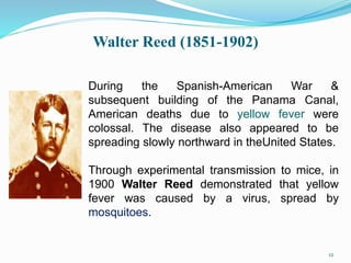 Virology, History, classification, Nomenclature_Baltimore_ICTV | PPTX
