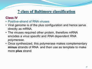 Virology, History, classification, Nomenclature_Baltimore_ICTV | PPTX