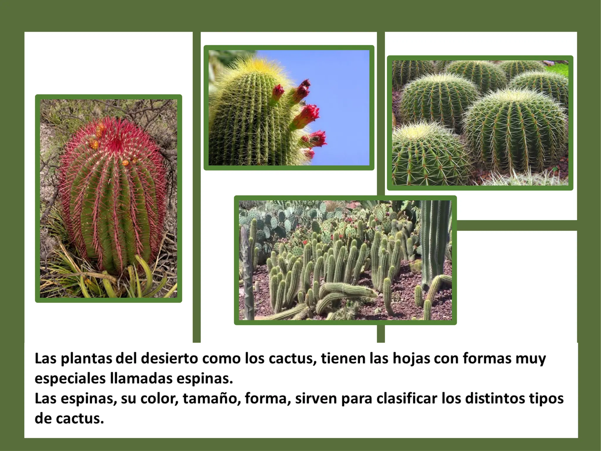 1° Hojas Identificar Funciones Y Tipos De Hojasppsx
