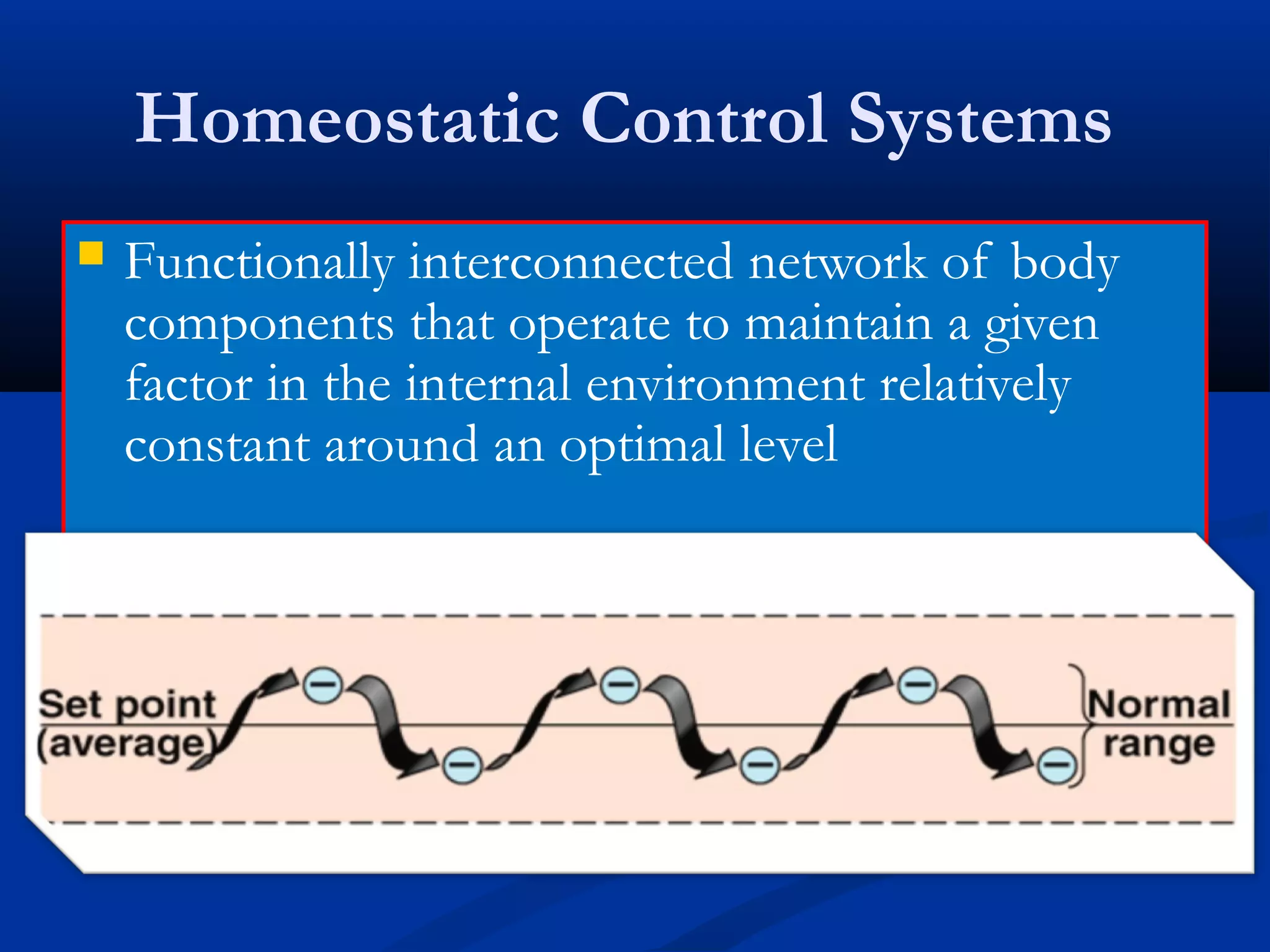 homeostais and body_fluid | PPT