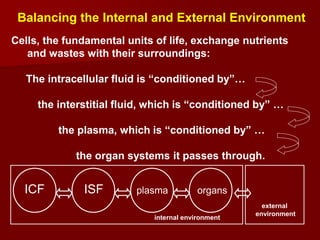 1 HOMEOSTASIS PHYSIOLOGY MBBS-2015-IS.ppt