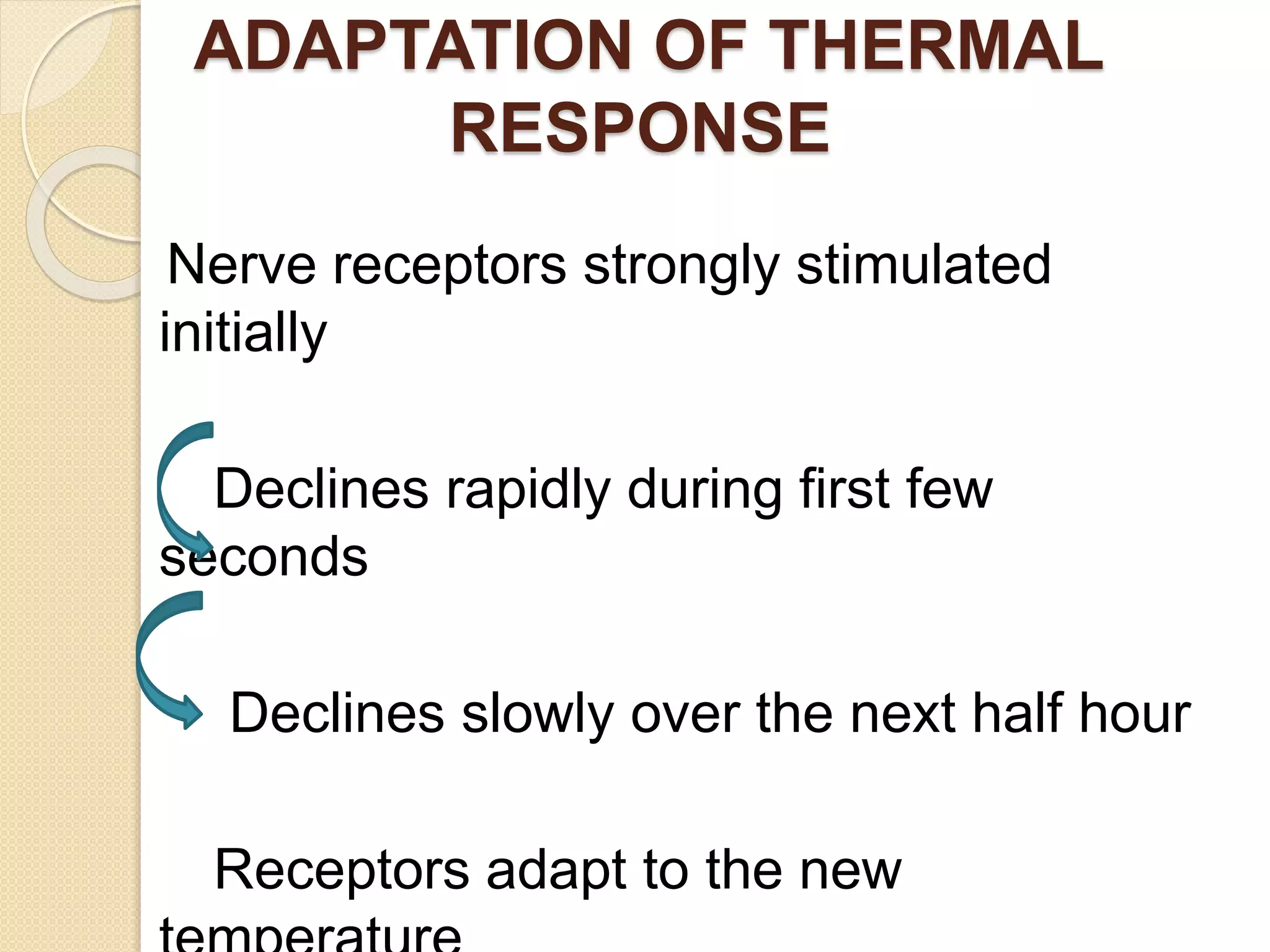 Hot & Cold Application | PPTX
