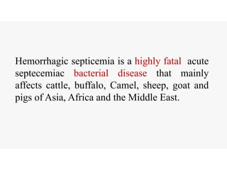 HEMORRHAGIC SEPTECEMIA (HS) | PPT