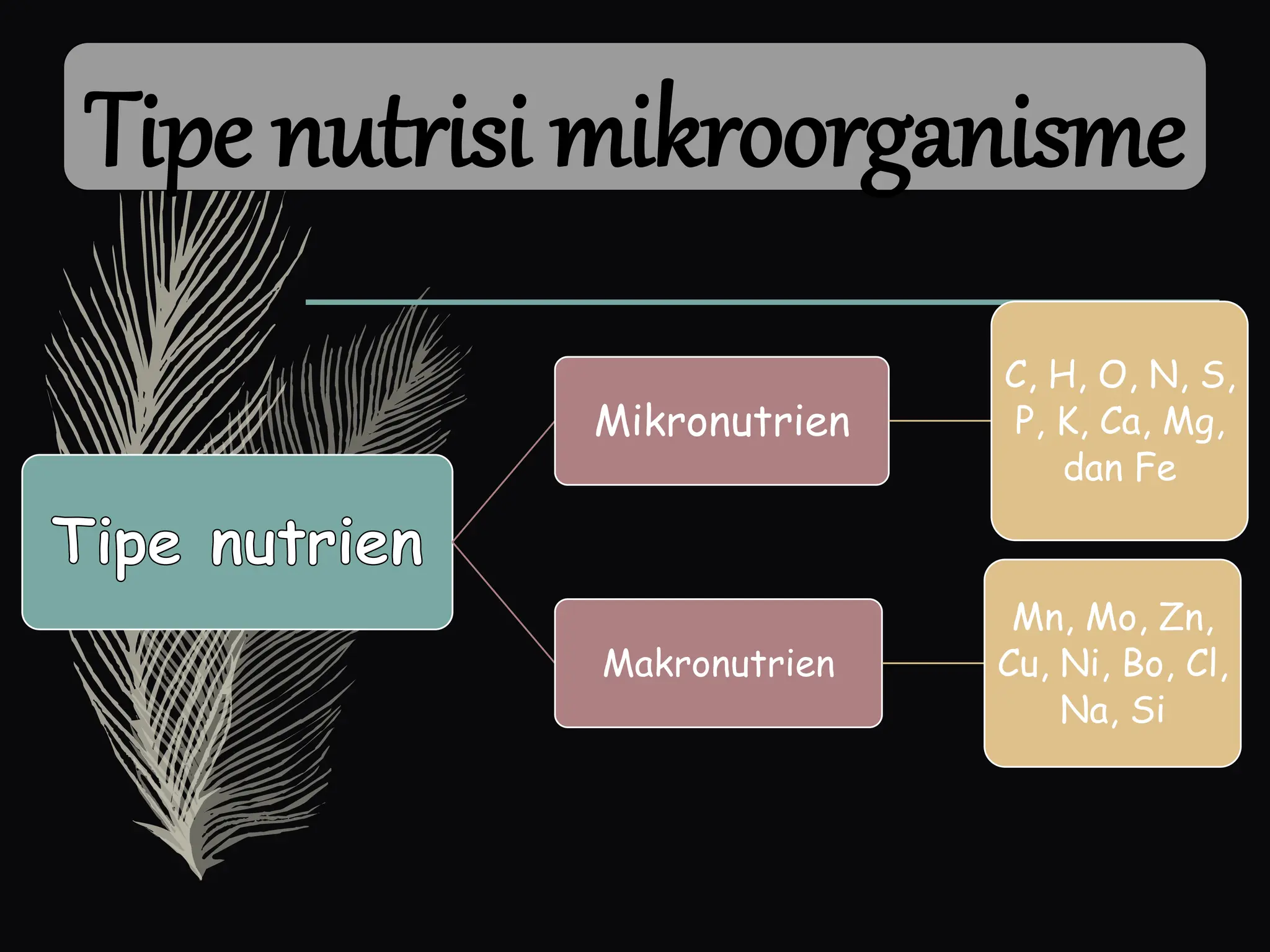 nutrisi_mikroba-nutrisi_mikroba-nutrisi_mikroba.pptx