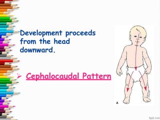 1_Human Development.pdf