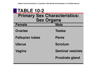 Chapter 17 Reproduction in Humans Lesson 1 - Human Reproductive System ...