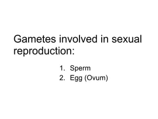 Chapter 17 Reproduction in Humans Lesson 1 - Human Reproductive System ...