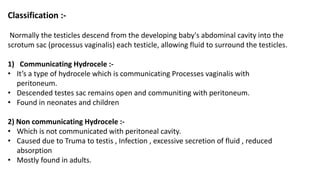 1 hydrocele created by Dr.Nitin Alapure | PPTX