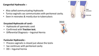 1 hydrocele created by Dr.Nitin Alapure | PPTX