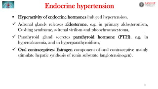 Cardiovascular Pathophysiology- Hypertension | PDF