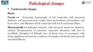 Cardiovascular Pathophysiology- Hypertension | PDF
