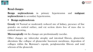Cardiovascular Pathophysiology- Hypertension | PDF