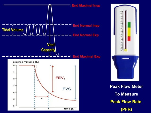 1 hypoventilation disorders | PPT | Lung and Respiratory Health ...