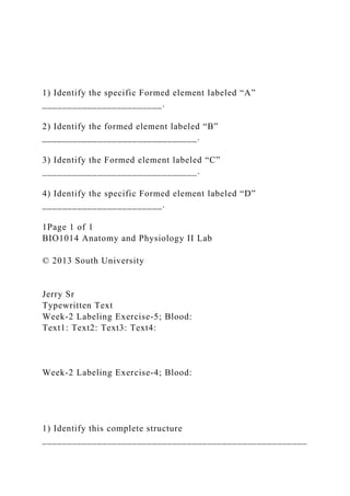 1) Identify the specific Formed element labeled A” __________.docx