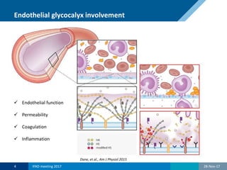 1 ifad2017 bernard van den berg - visualising glycocalix | PPTX