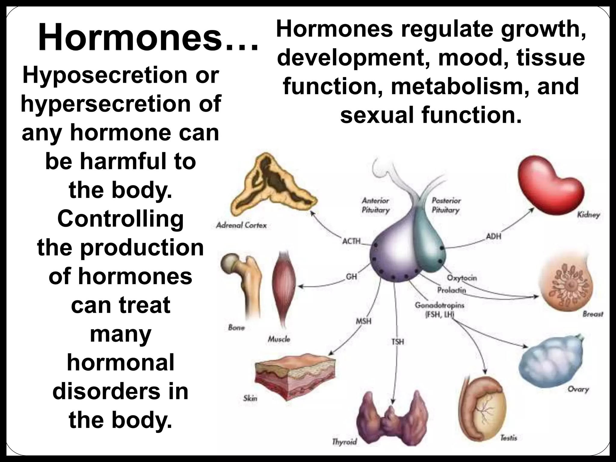 Anatomy and Physiology of Endocrine System | PPT